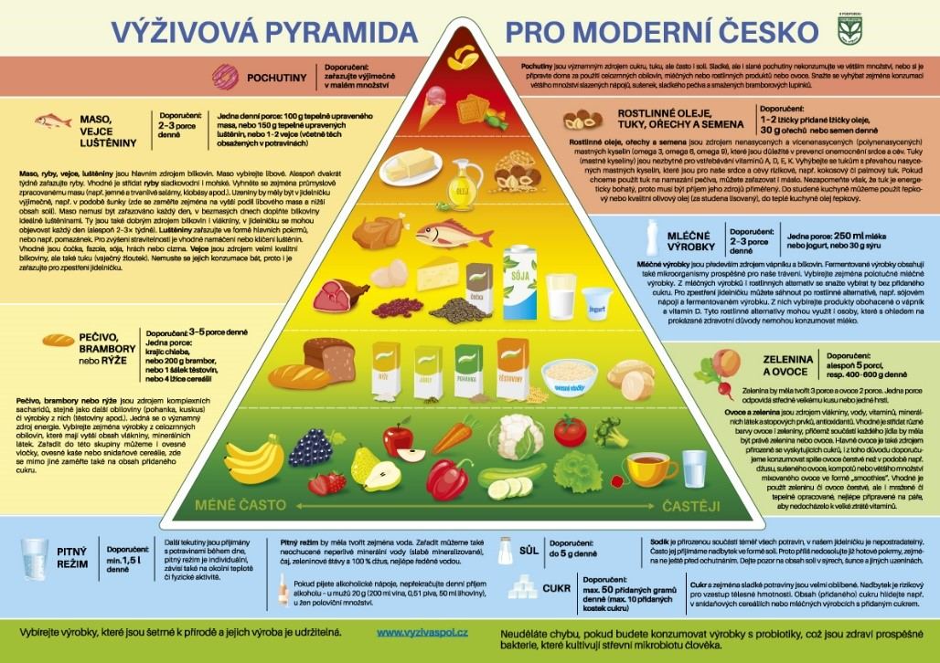 Výživová pyramida pro moderní Česko – Danone